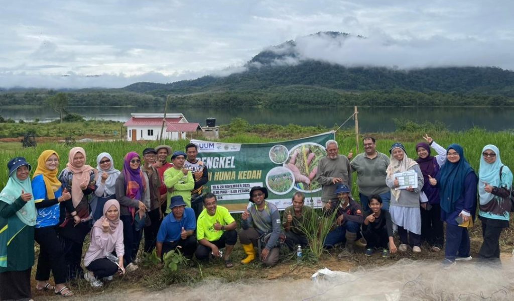 Penyelidik UUM teroka khazanah padi huma Kedah – UUM TODAY